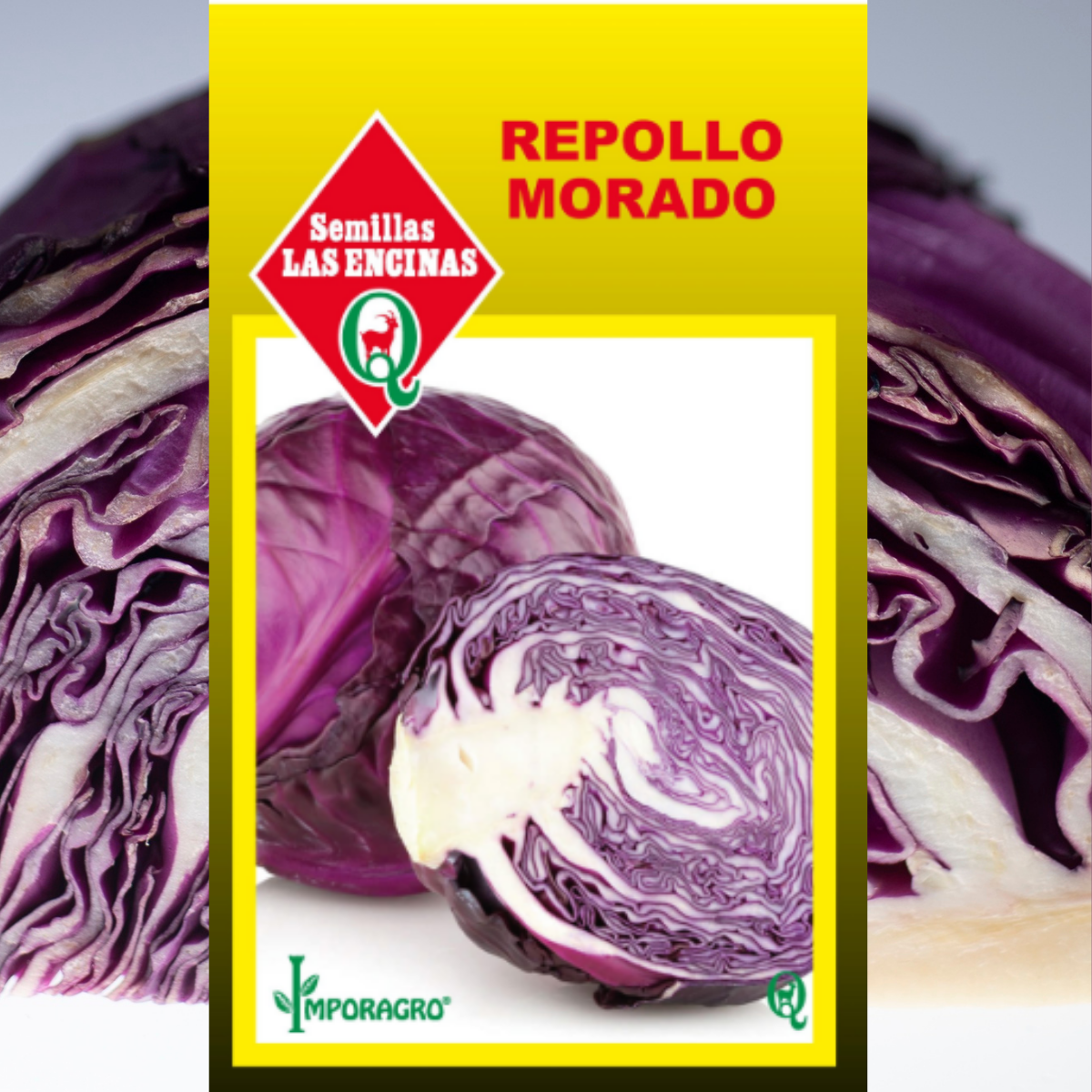 Semilla Repollo Morado – Nutpro